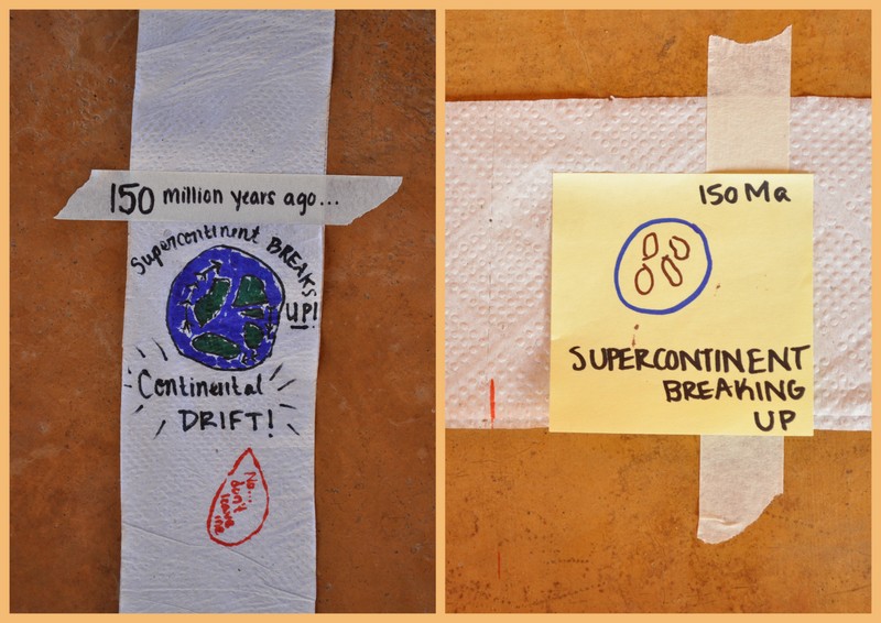 Toilet Paper Timeline Turkana Basin Institute Toilet Paper Timeline Turkana Basin Institute