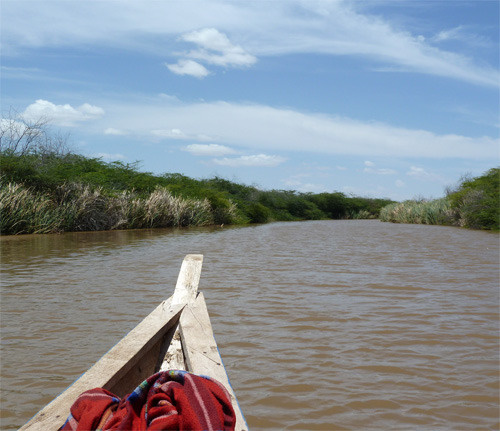 Birds and bees in the Kerio Delta | Turkana Basin Institute