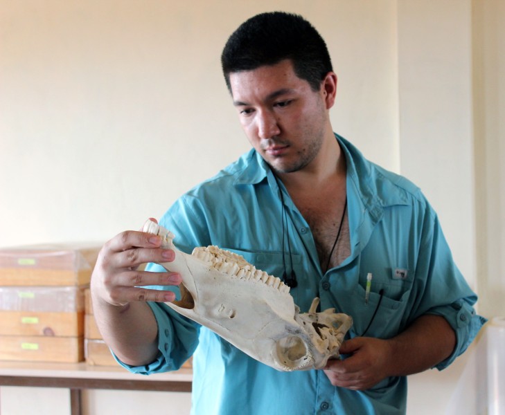 Paleontology: Learning about fossils, anatomy and Earth’s history ...