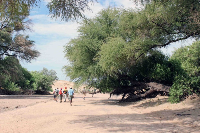 Shaping the Turkana Basin: river and lake systems | Turkana Basin Institute