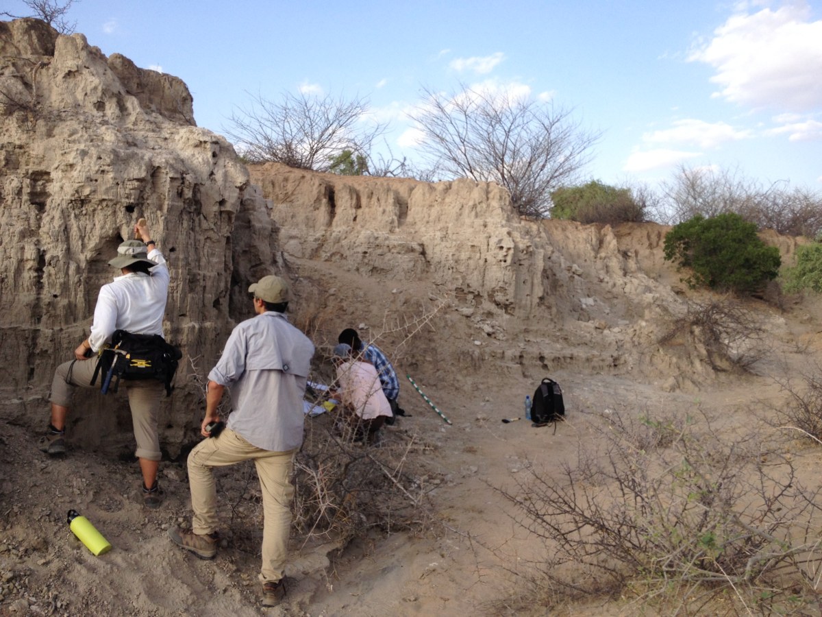 Geology week 1: Introduction to Sedimentology and Stratigraphy of the ...