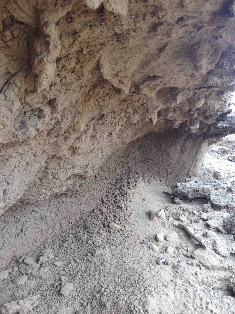 Going back to where it all began… Koobi Fora | Turkana Basin Institute