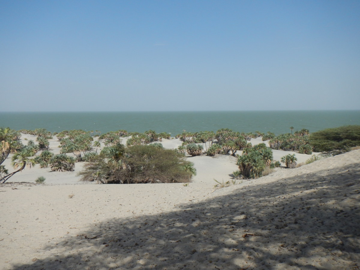 Rolling back to the Holocene – Turkana Basin Institute