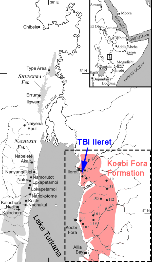 Koobi Fora Formation | Turkana Basin Institute