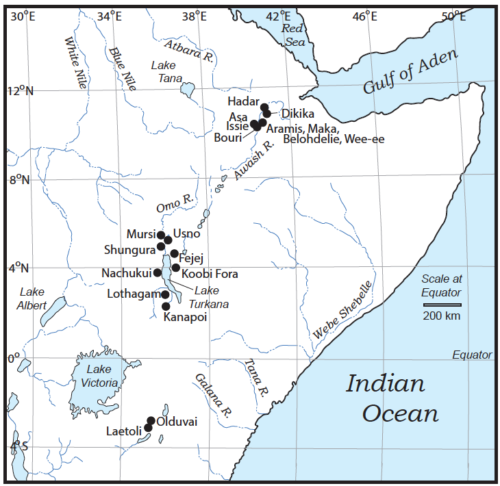 Paleontological Collection Areas at Koobi Fora – Turkana Basin Institute