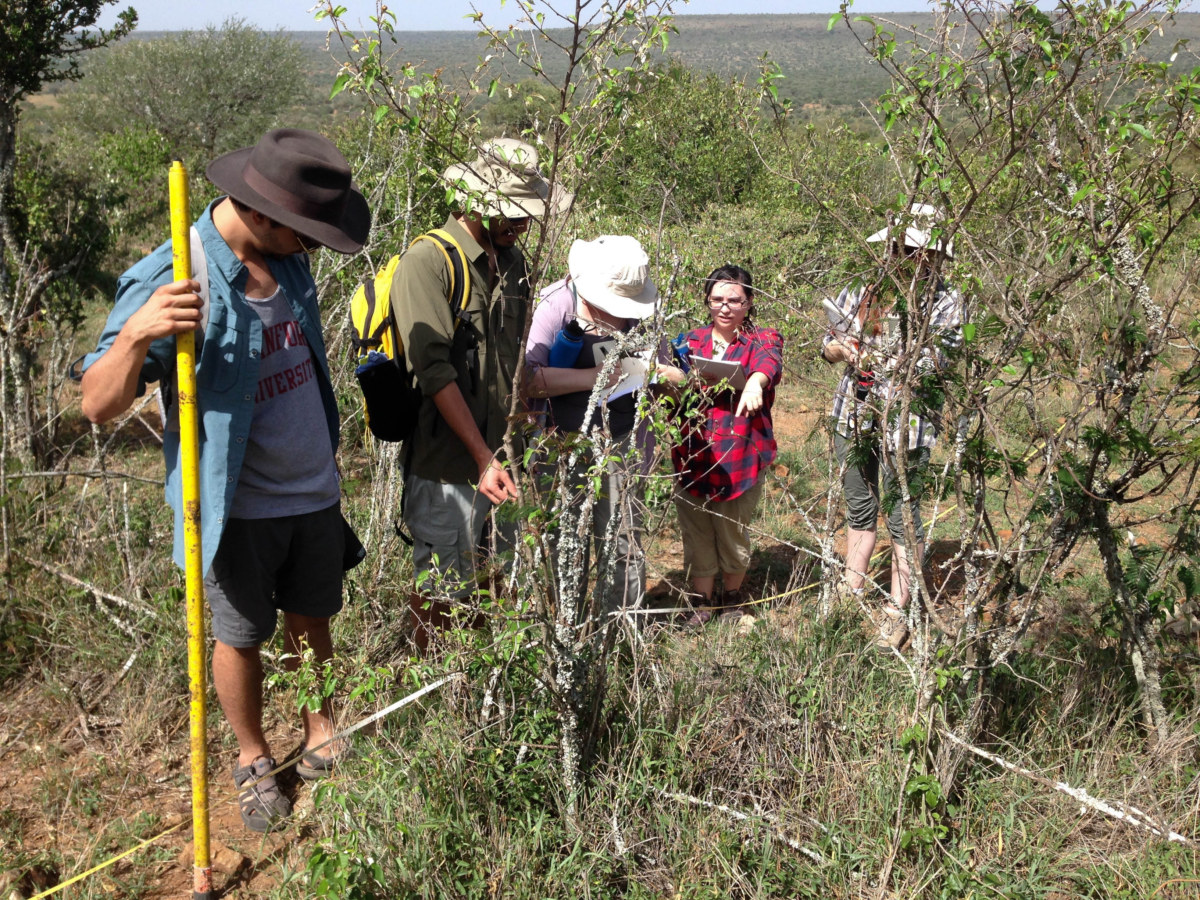 From Mpala to Turkwel, it’s heating up! – Turkana Basin Institute