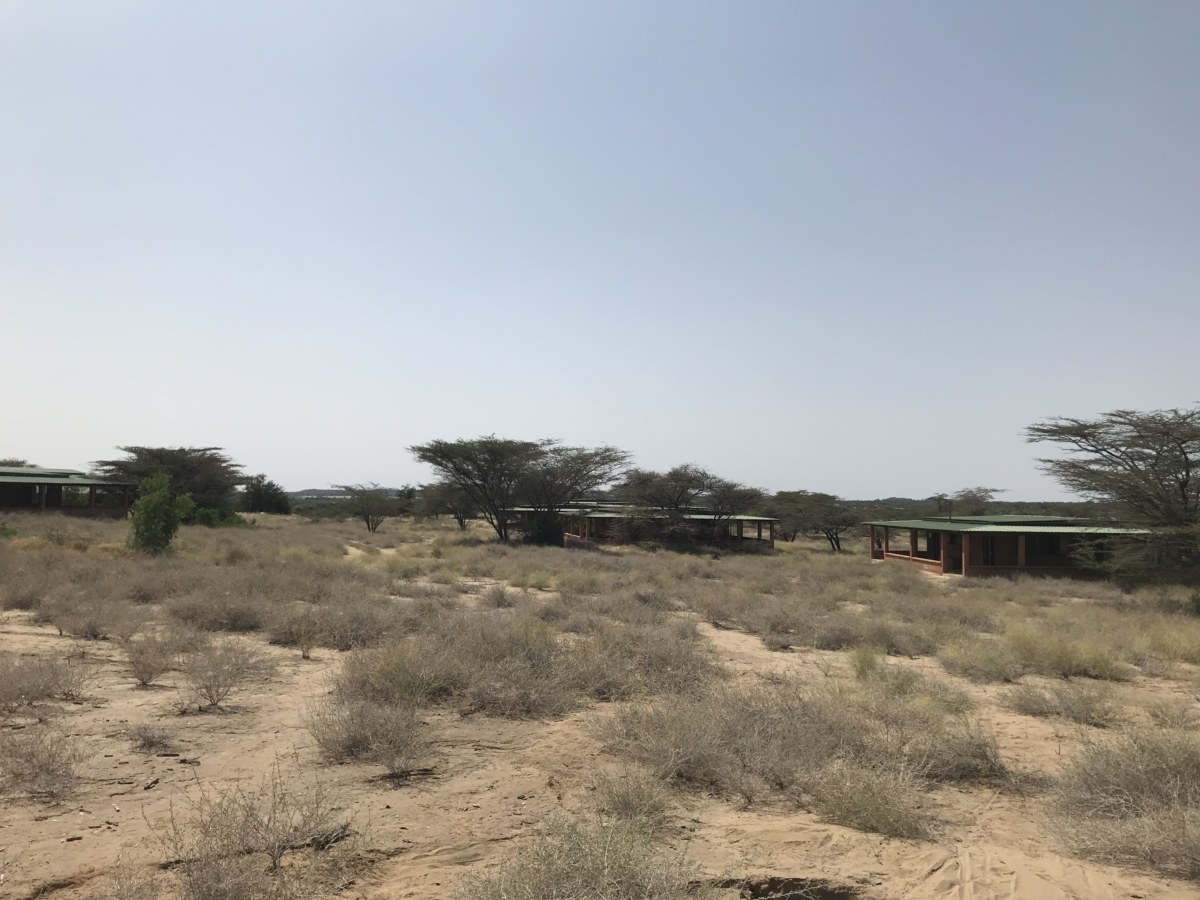 Goodbye Mpala, Hello Turkwel! | Turkana Basin Institute