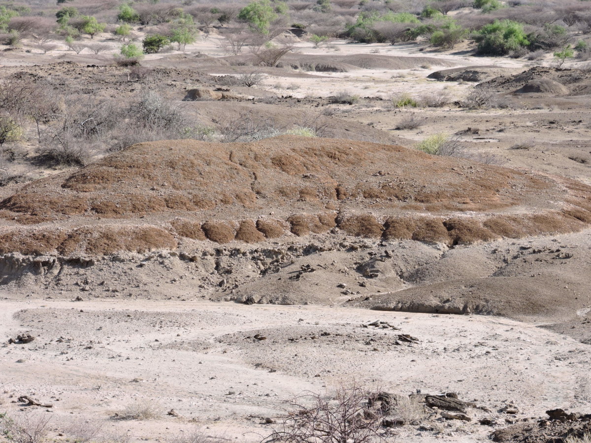A “Tuff” Act to Follow | Turkana Basin Institute