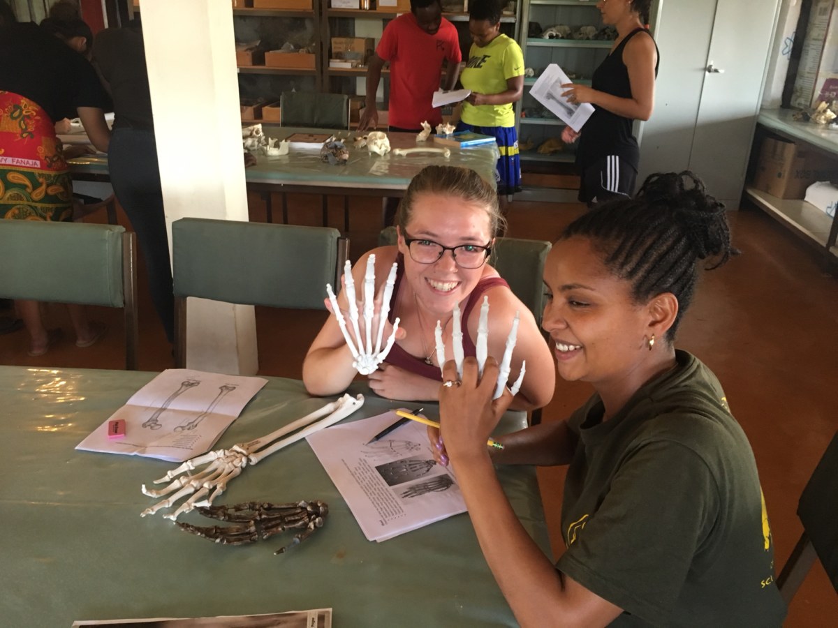 A journey through human evolution | Turkana Basin Institute