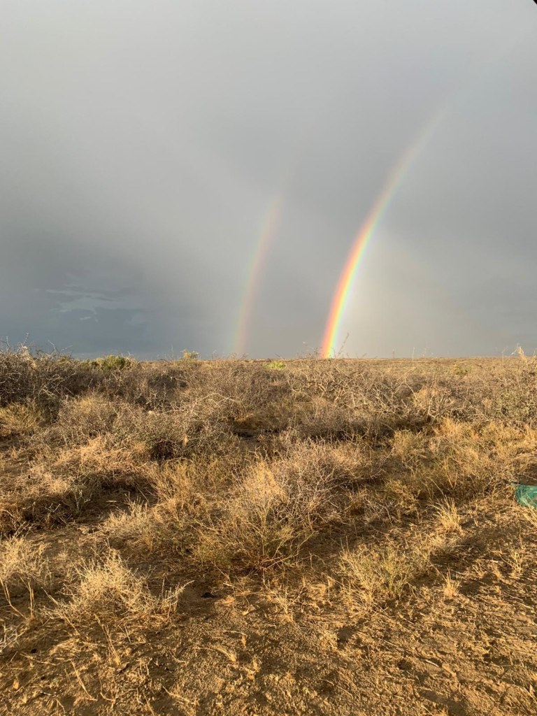Camping at Koobi Fora – Turkana Basin Institute