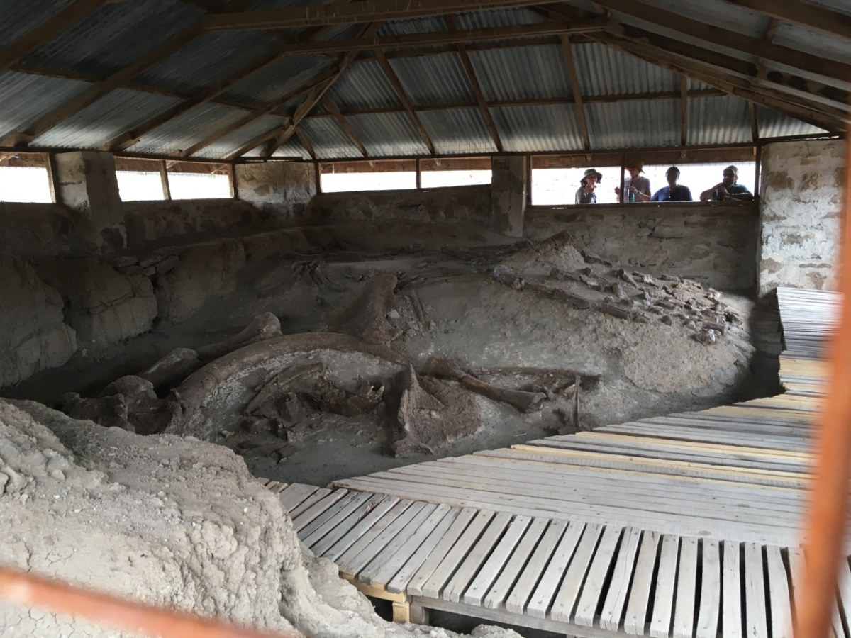 Camping at Koobi Fora | Turkana Basin Institute