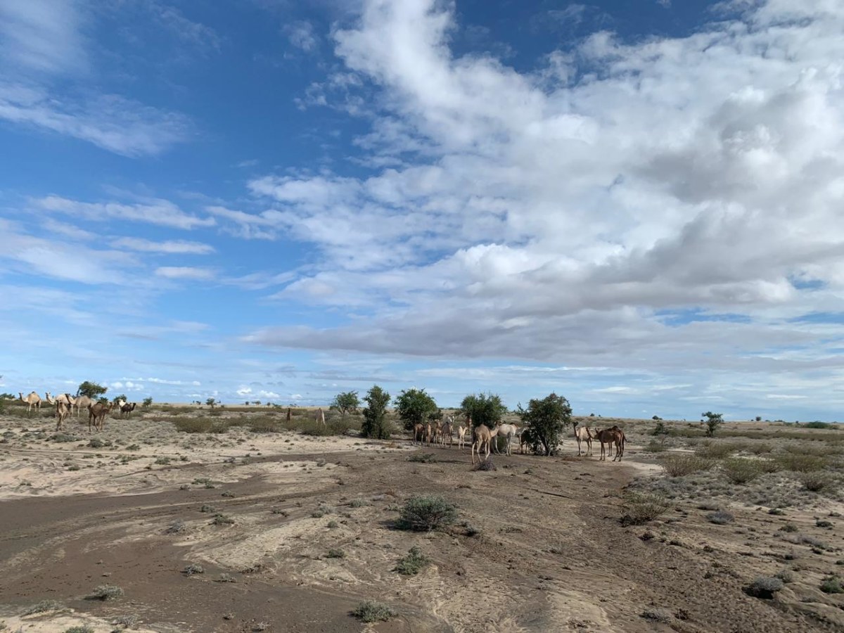 Hello Turkwel! – Turkana Basin Institute