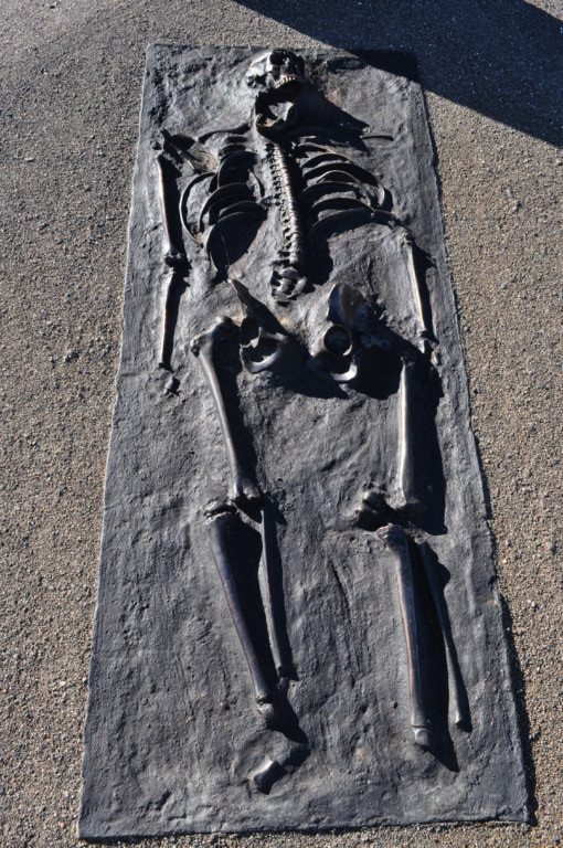 A trip to Nariokotome | Turkana Basin Institute