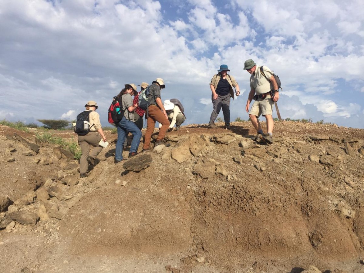 Understanding the Geology of the Turkana Basin | Turkana Basin Institute
