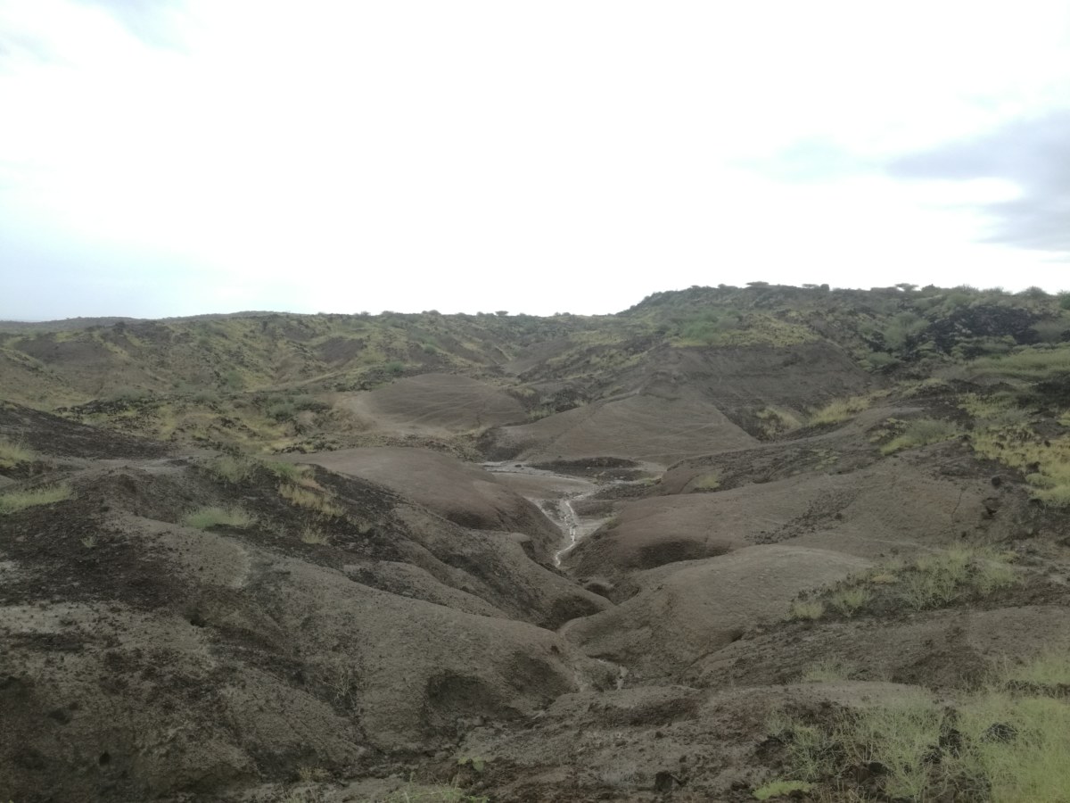 A trip to Koobi Fora | Turkana Basin Institute