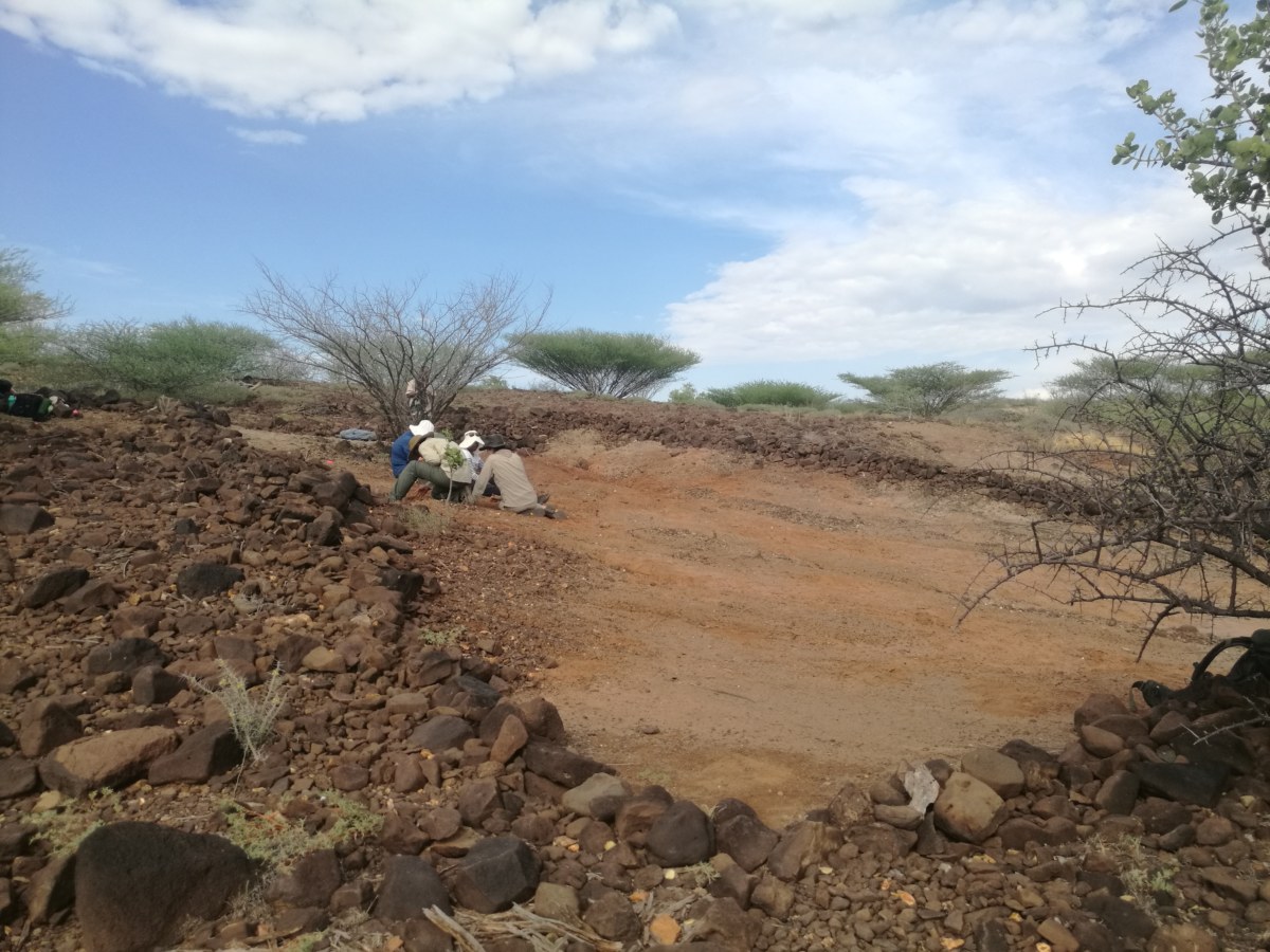 Excavating Fossils at Buluk | Turkana Basin Institute