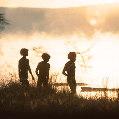 All About Turkana Boy | Turkana Basin Institute