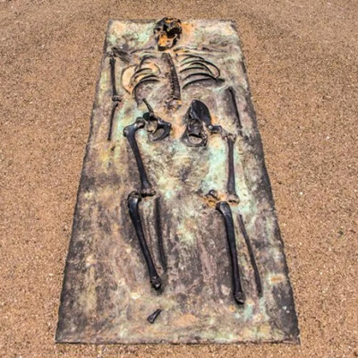 All About Turkana Boy | Turkana Basin Institute