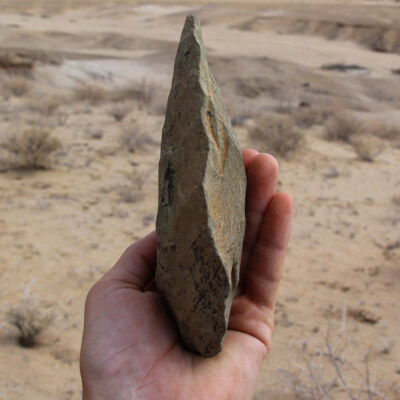 All About Turkana Boy | Turkana Basin Institute