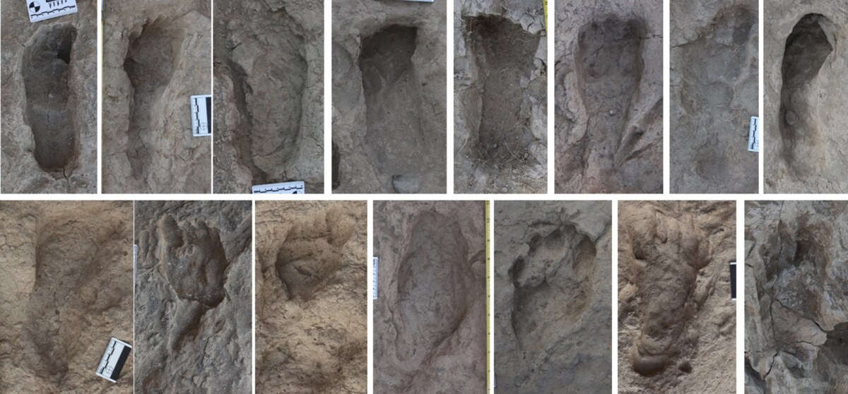 Updates from the field: Discovering new early Pleistocene footprints at ...