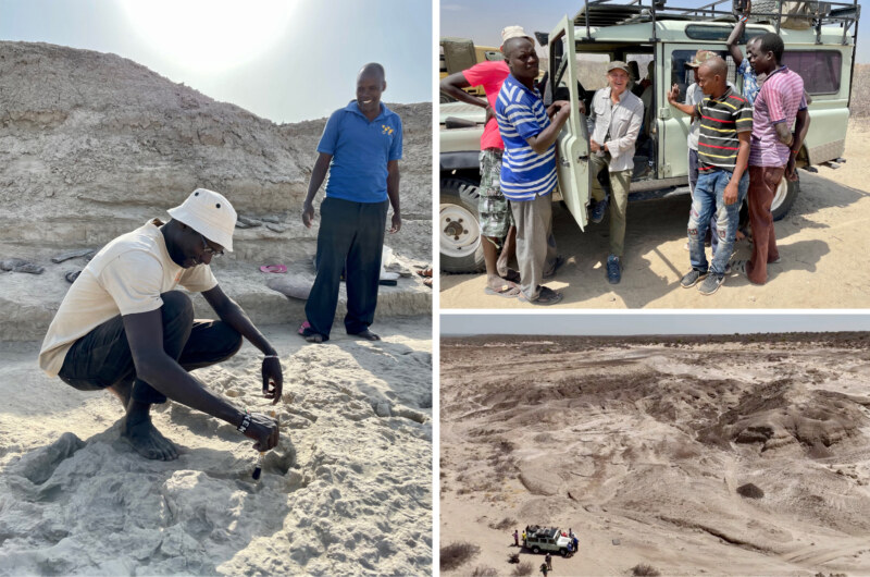 Updates from the field: Discovering new early Pleistocene footprints at ...