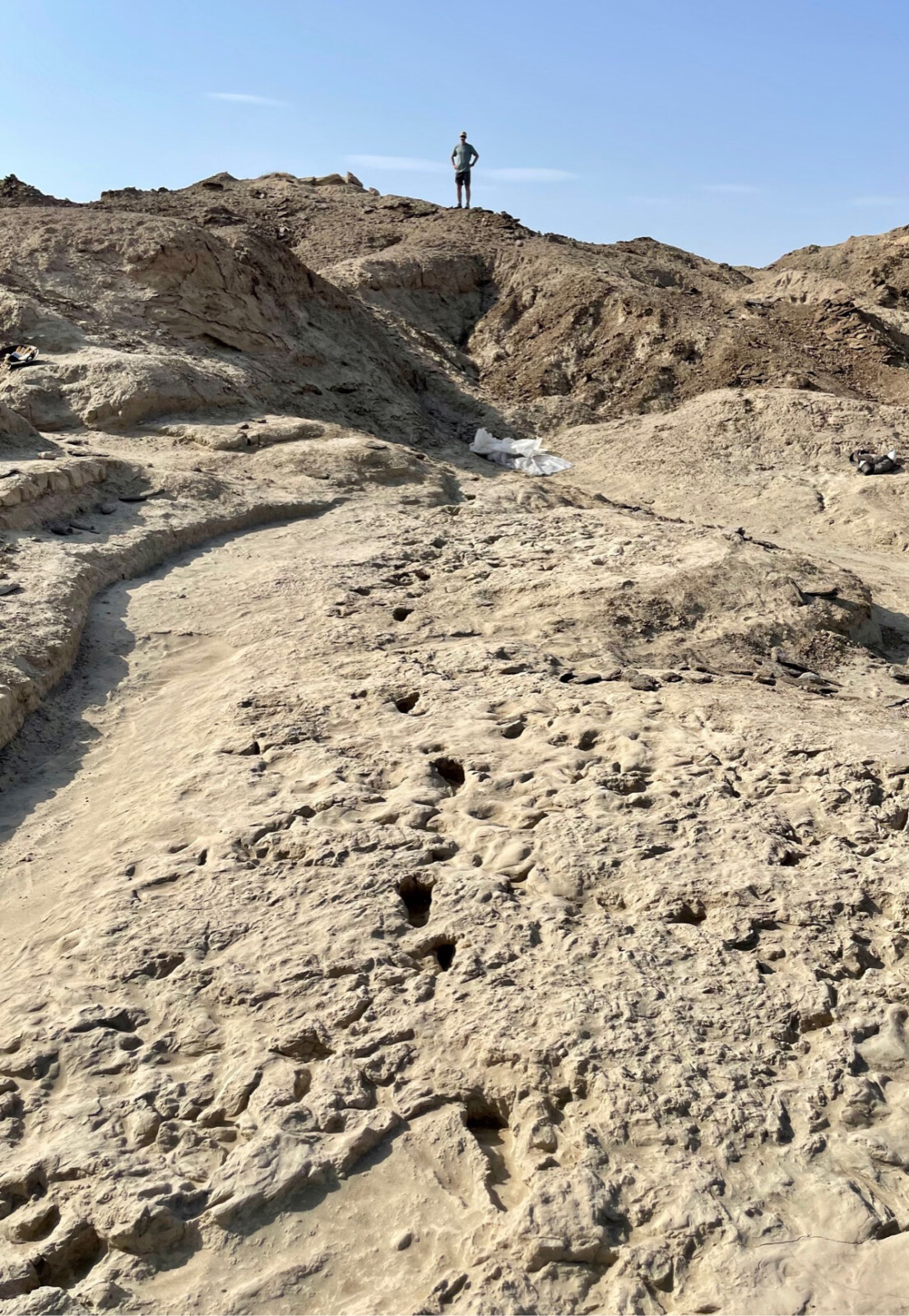 Updates from the field: Discovering new early Pleistocene footprints at ...
