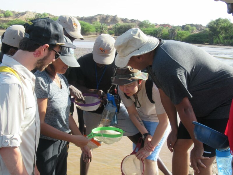 Ecology in Turkana – Turkana Basin Institute