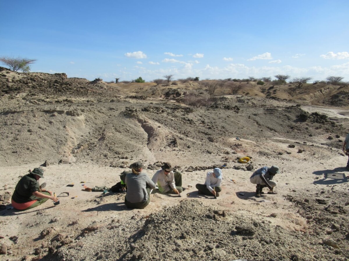 Paleoanthropology in South Turkwel | Turkana Basin Institute